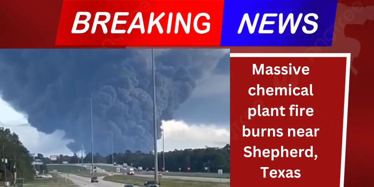 VIDEO: Safety Order Issued After Chemical Plant Explosion In Shepherd ...