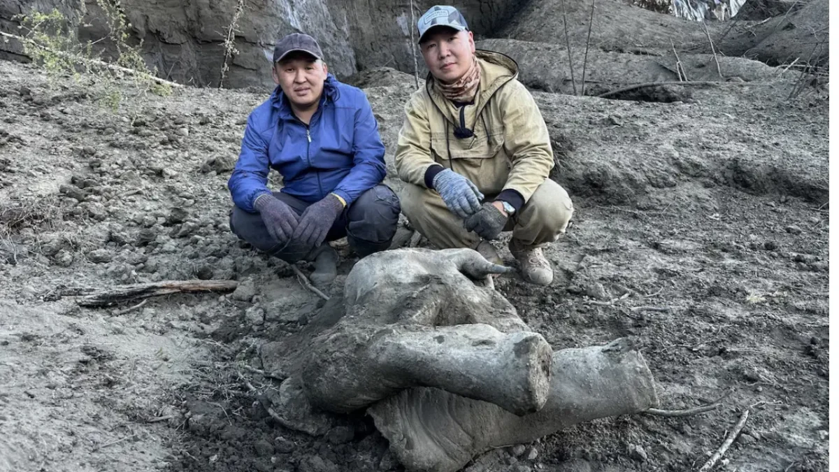 Ice Age Mummies: Prehistoric Animal Discoveries Thrill Scientists